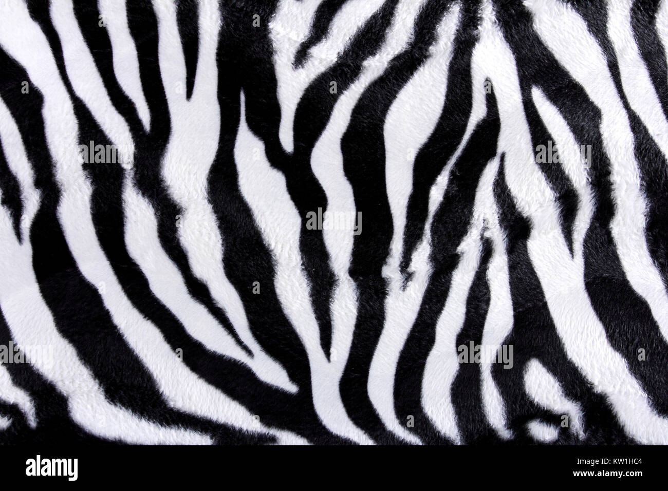 Zebra Skin Vector Pattern