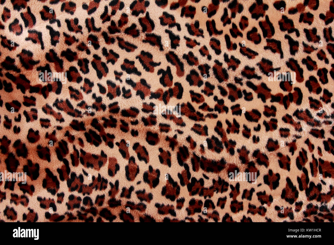 Tiger fur rug hi-res stock photography and images - Alamy