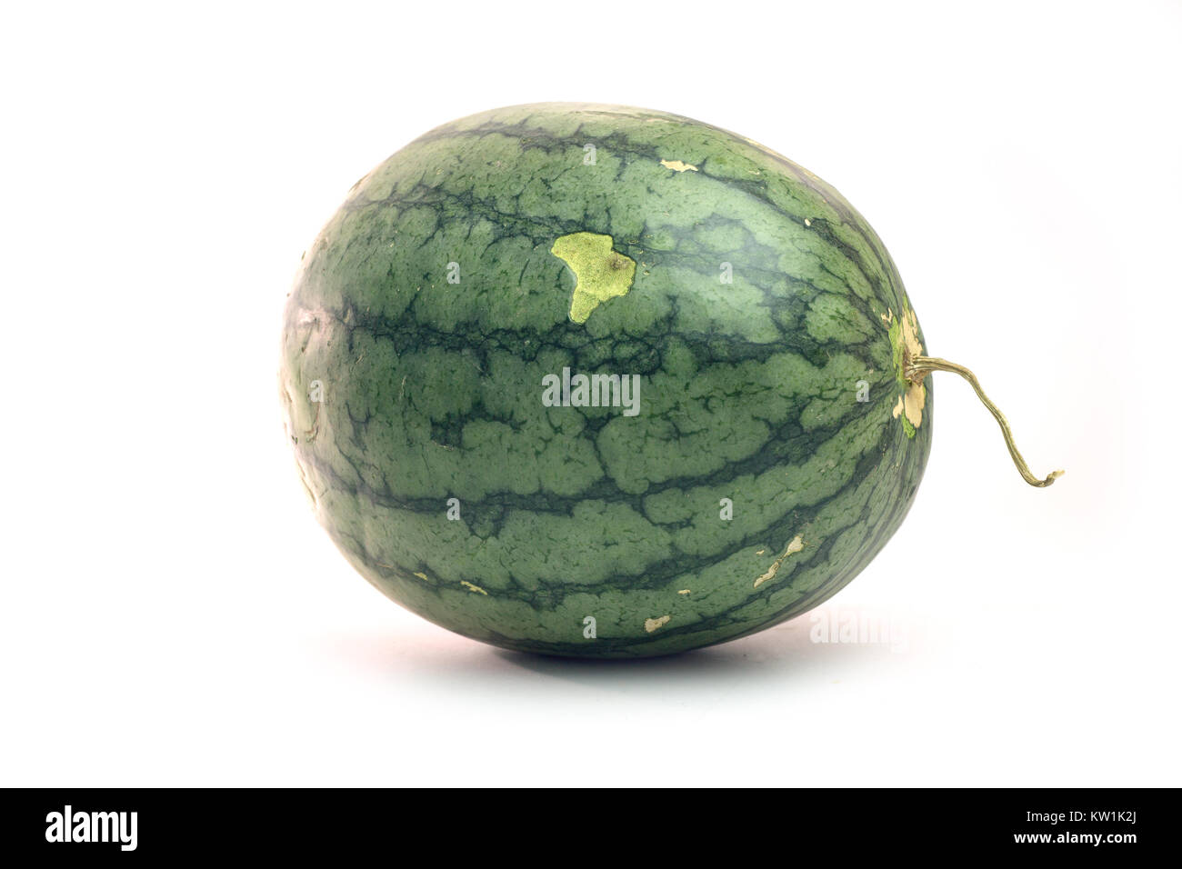 Watermelon on a white background Stock Photo - Alamy