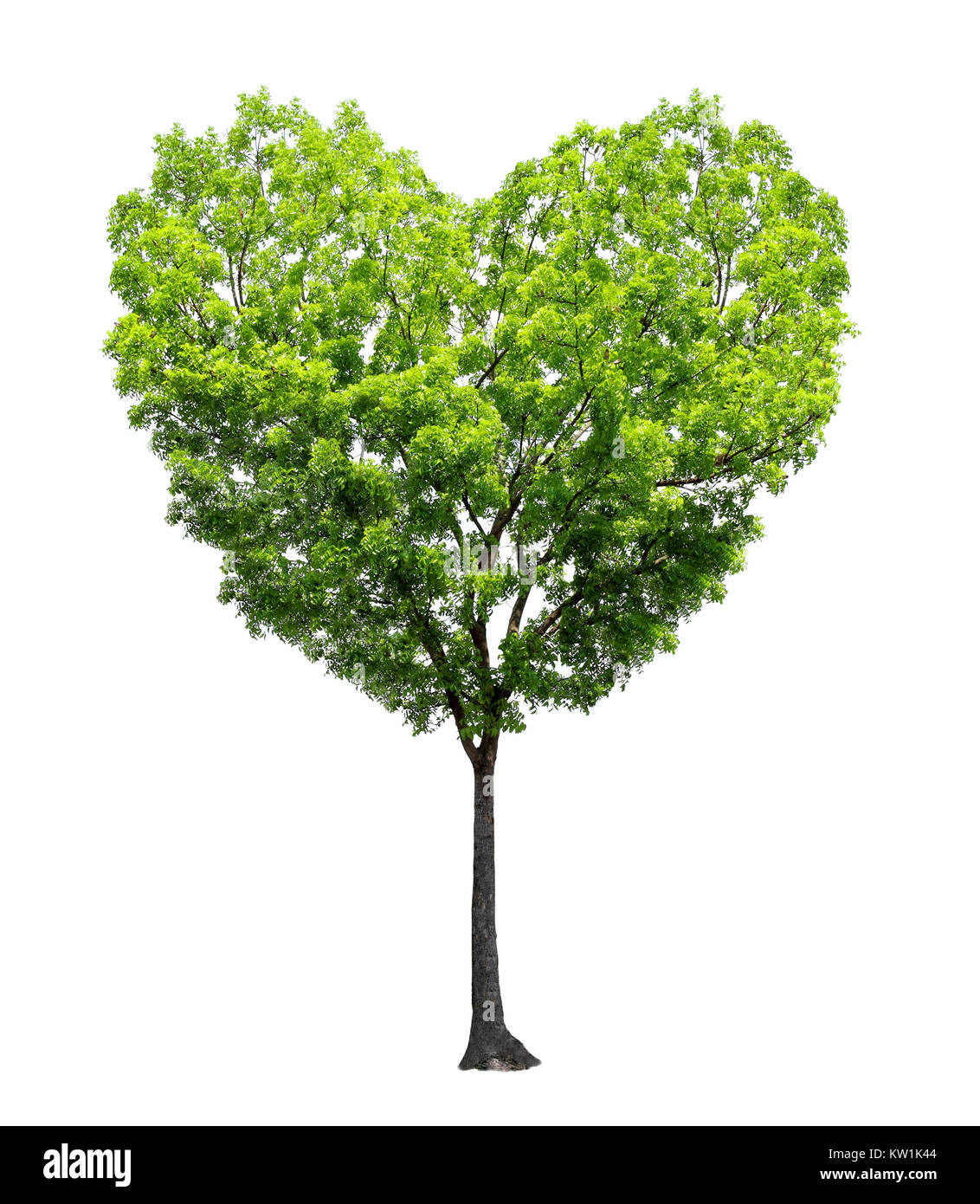 Heart shape tree Stock Photo - Alamy