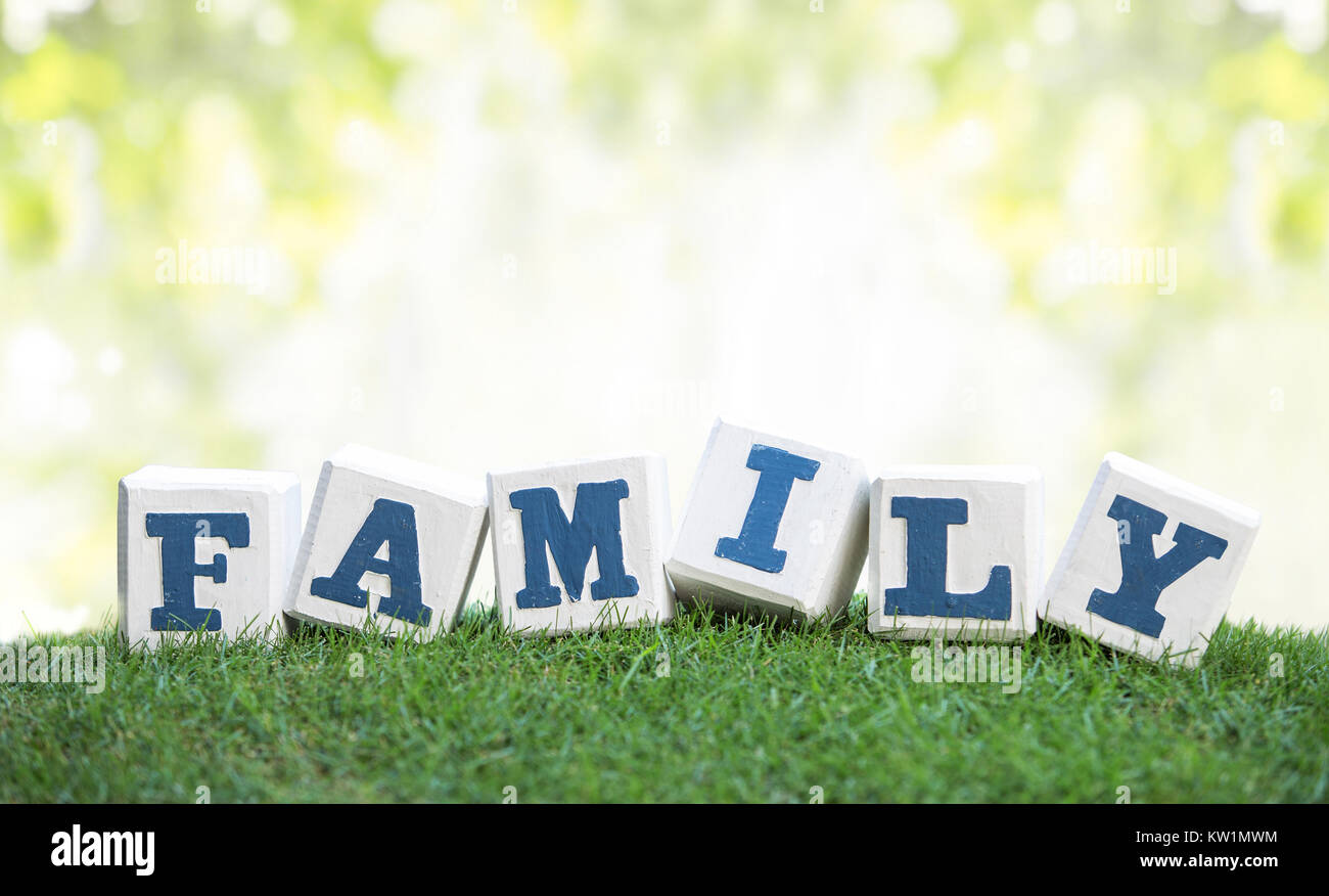 FAMILY sign made of wooden blocks on a green grass Stock Photo - Alamy