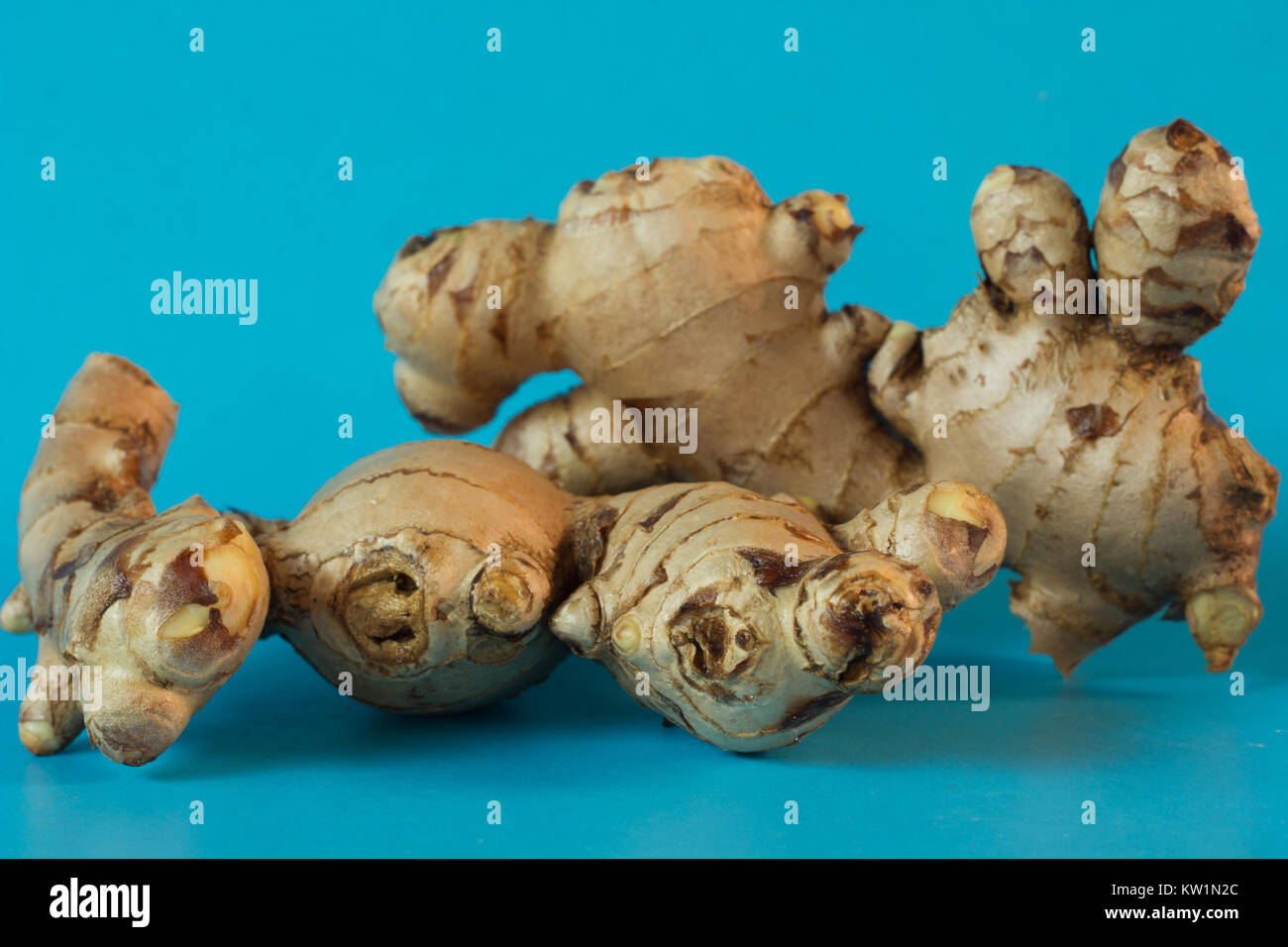 Root ginger on a blue studio background Stock Photo - Alamy