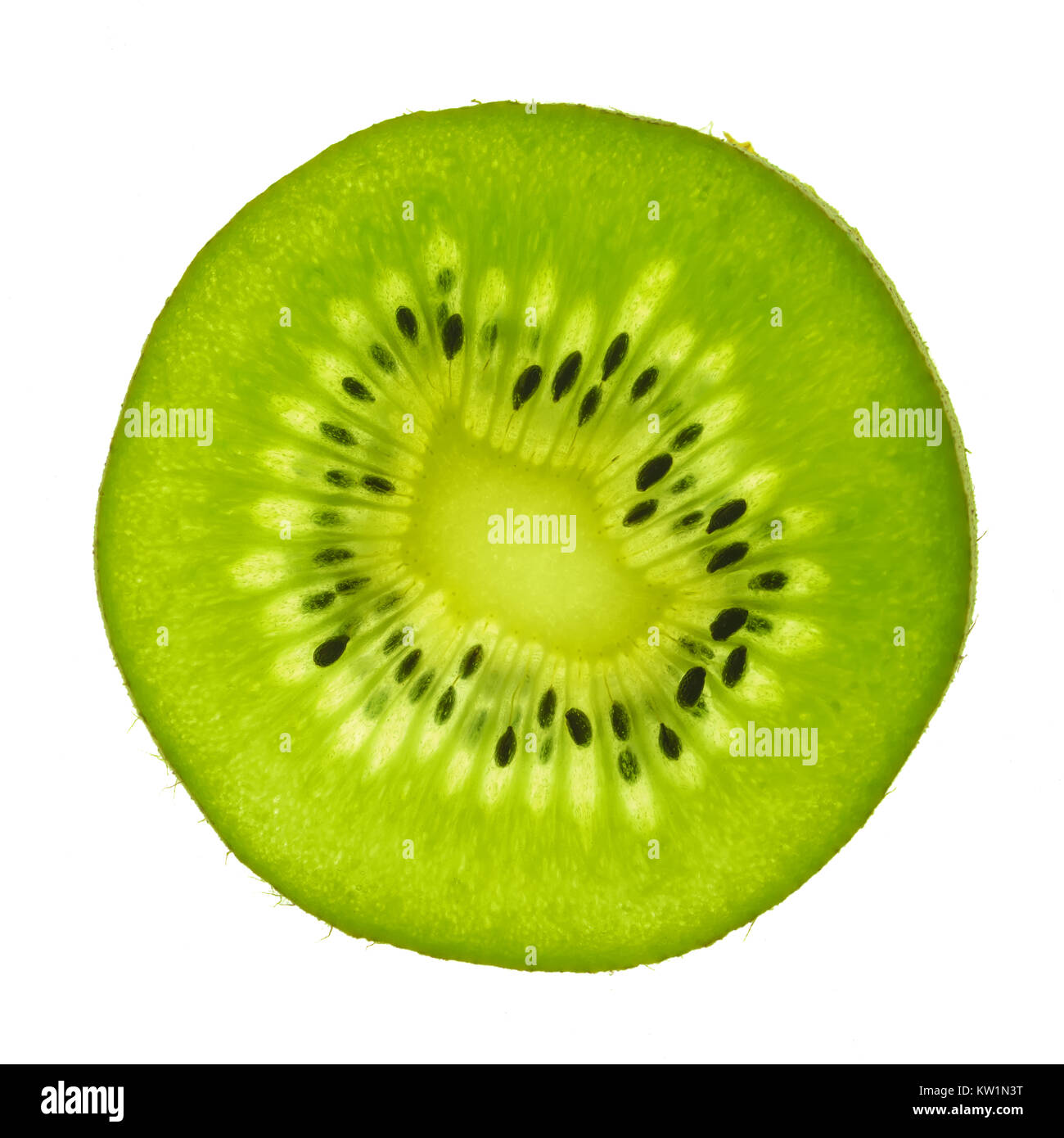Kiwi view hi-res stock photography and images - Alamy