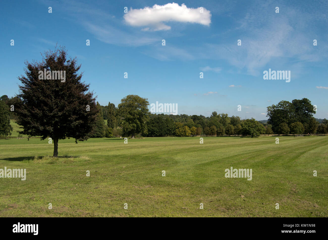 Field at Loseley Park, Guildford, England Stock Photo - Alamy