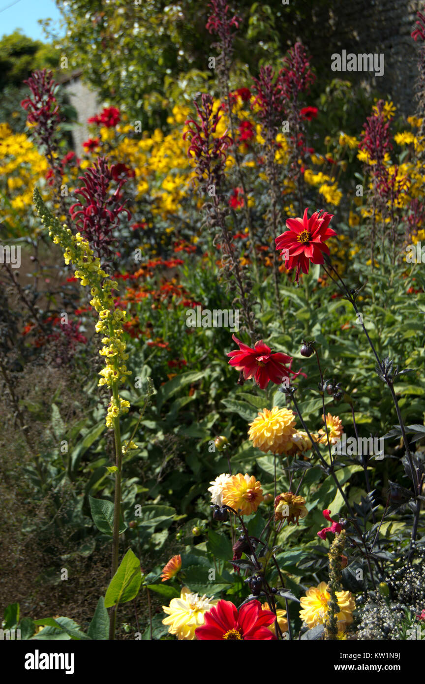 Summer flowers in full bloom at Loseley Park garden, Guildford, Surrey ...