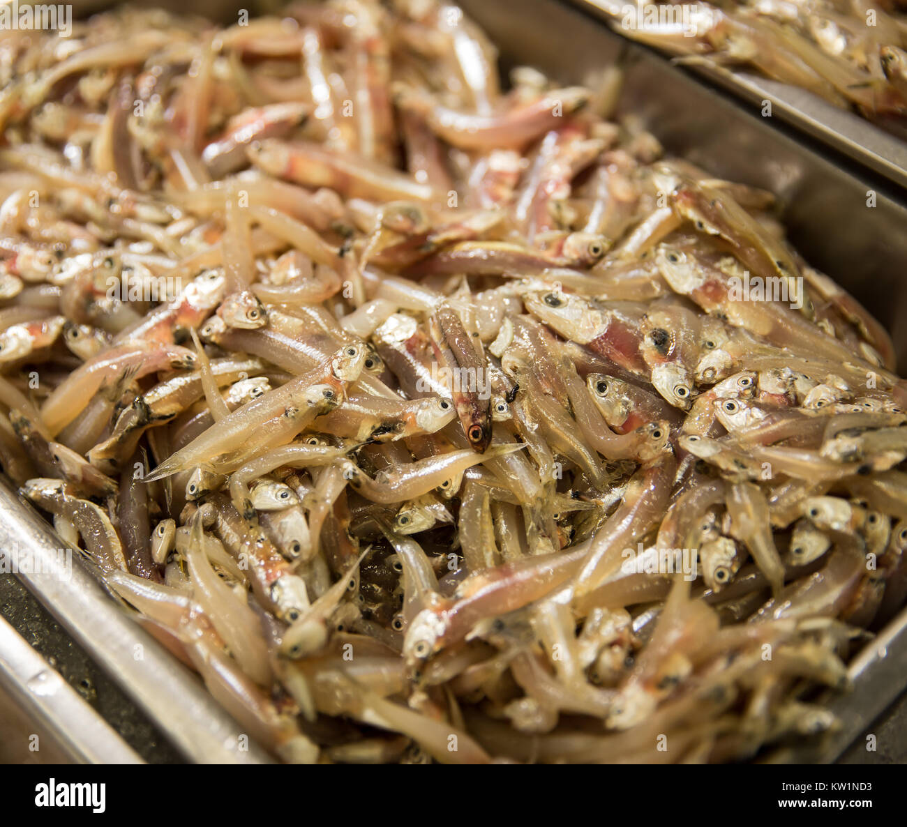 Anchovies anchovy preserved hi-res stock photography and images - Alamy