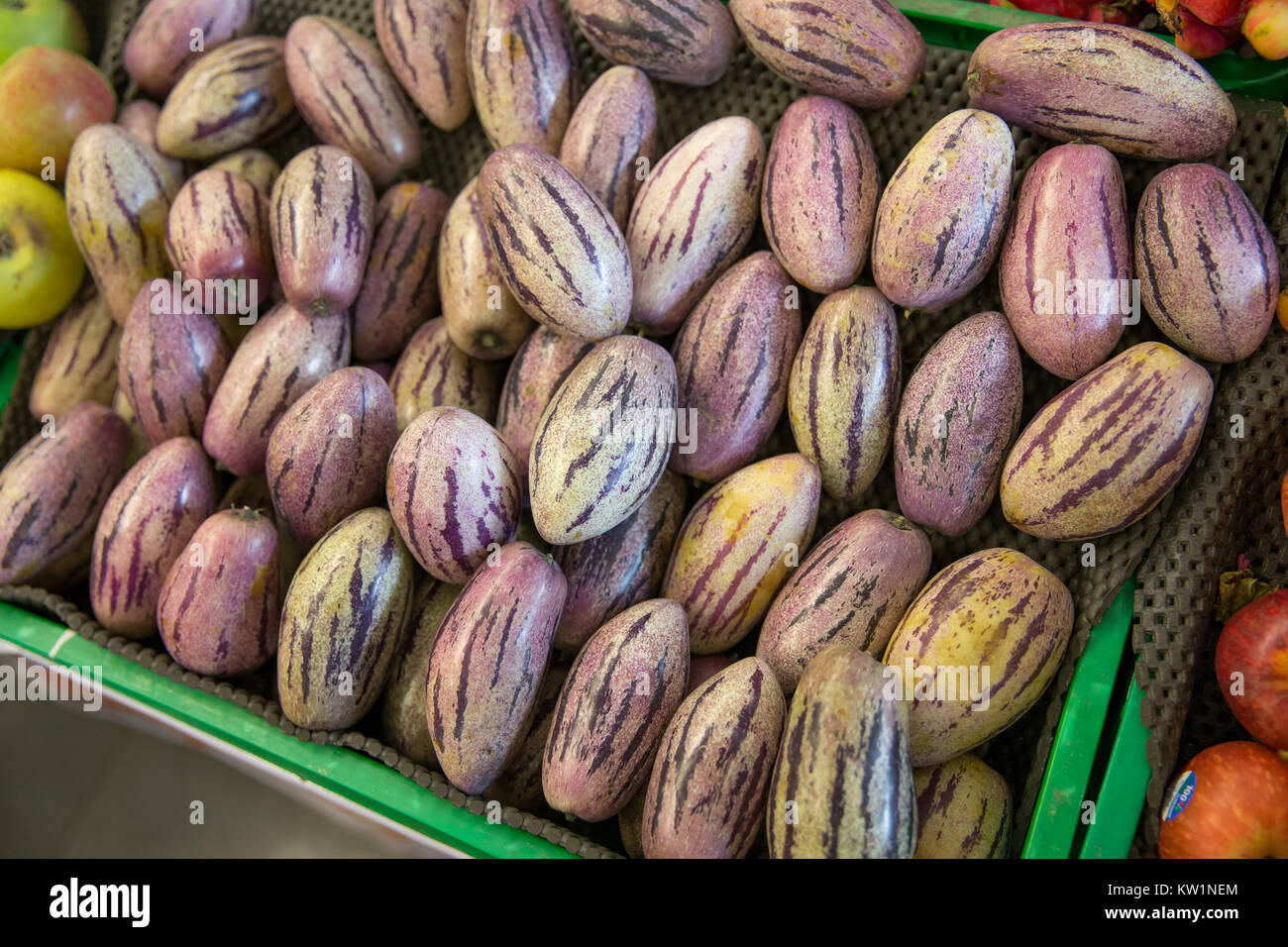 Tamarillos in green tray in a market stall Stock Photo - Alamy