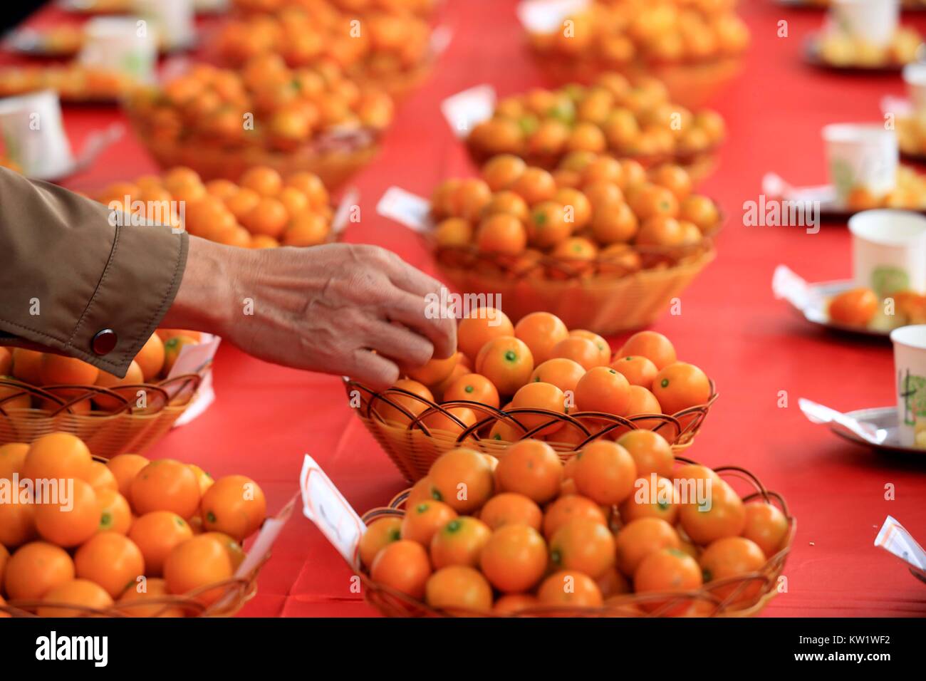 Rong'an, China's Guangxi Zhuang Autonomous Region. 28th Dec, 2017. A ...