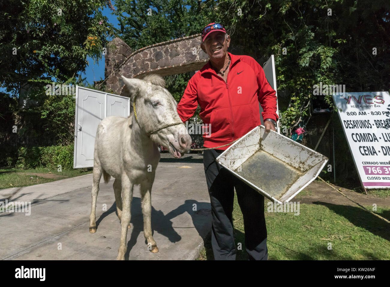 Vino Blanco the white burro with Yves, Yves Restaurant, Ajijic, Lake ...