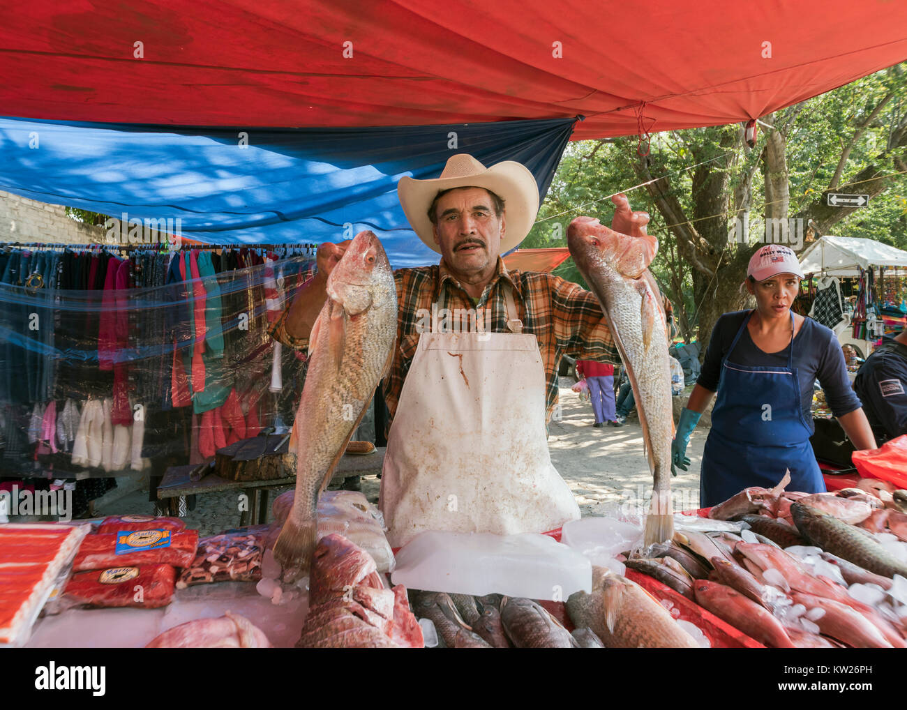 Fish for sale, Ajijic Market, Ajijic, Lake Chapala, Mexico Stock Photo ...