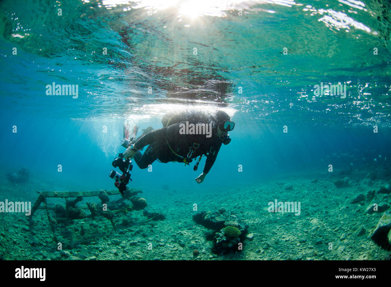 A Diver and underwater photographer swimming in shallow waters Stock ...