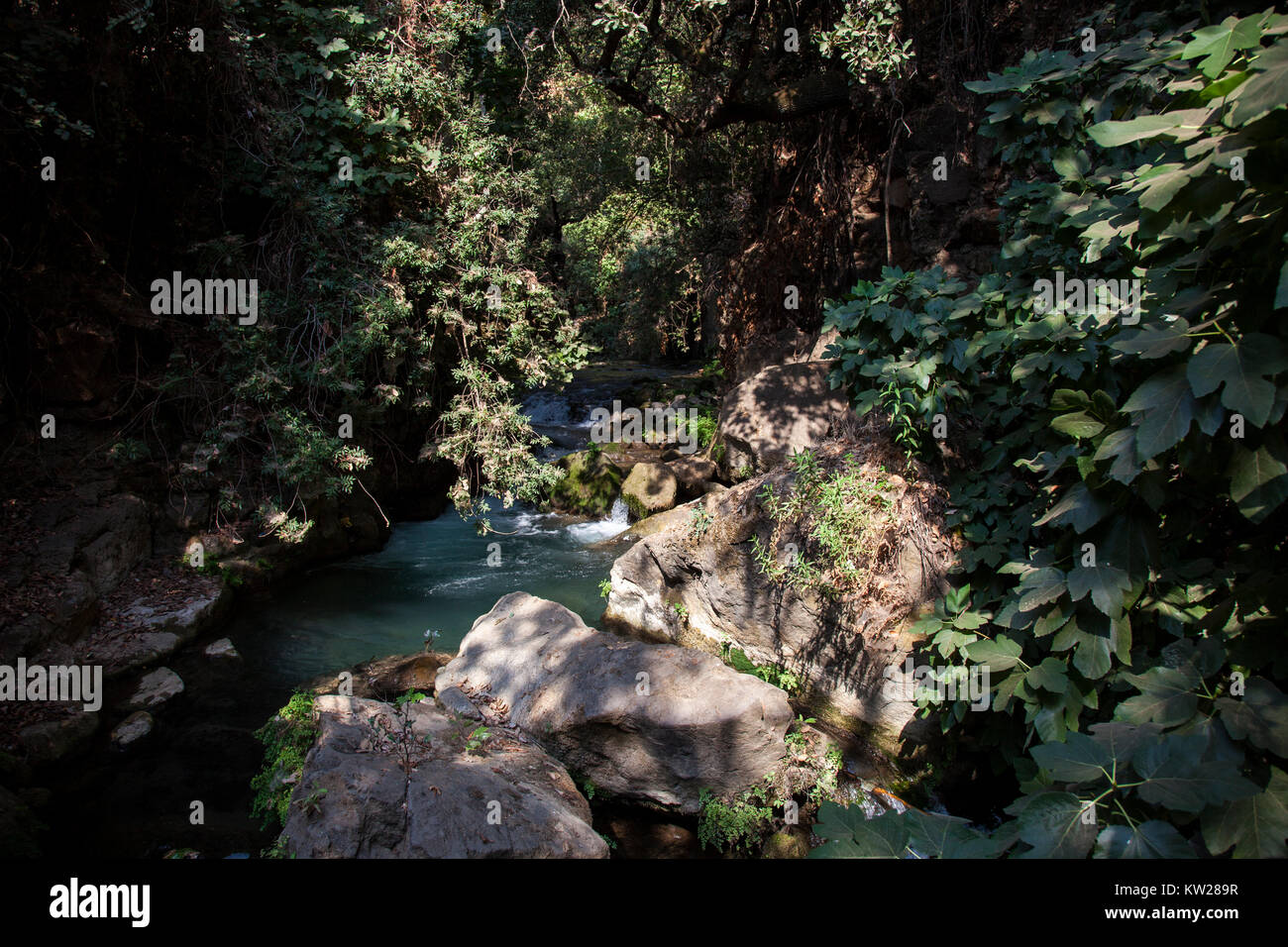 Banias nature reserve israel hi-res stock photography and images - Alamy