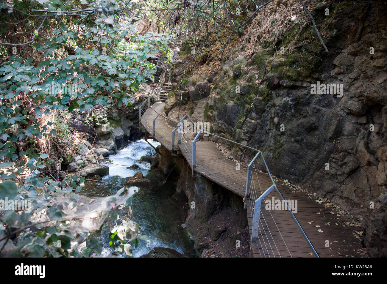 Banias River, Golan Heights, Israel Stock Photo - Alamy