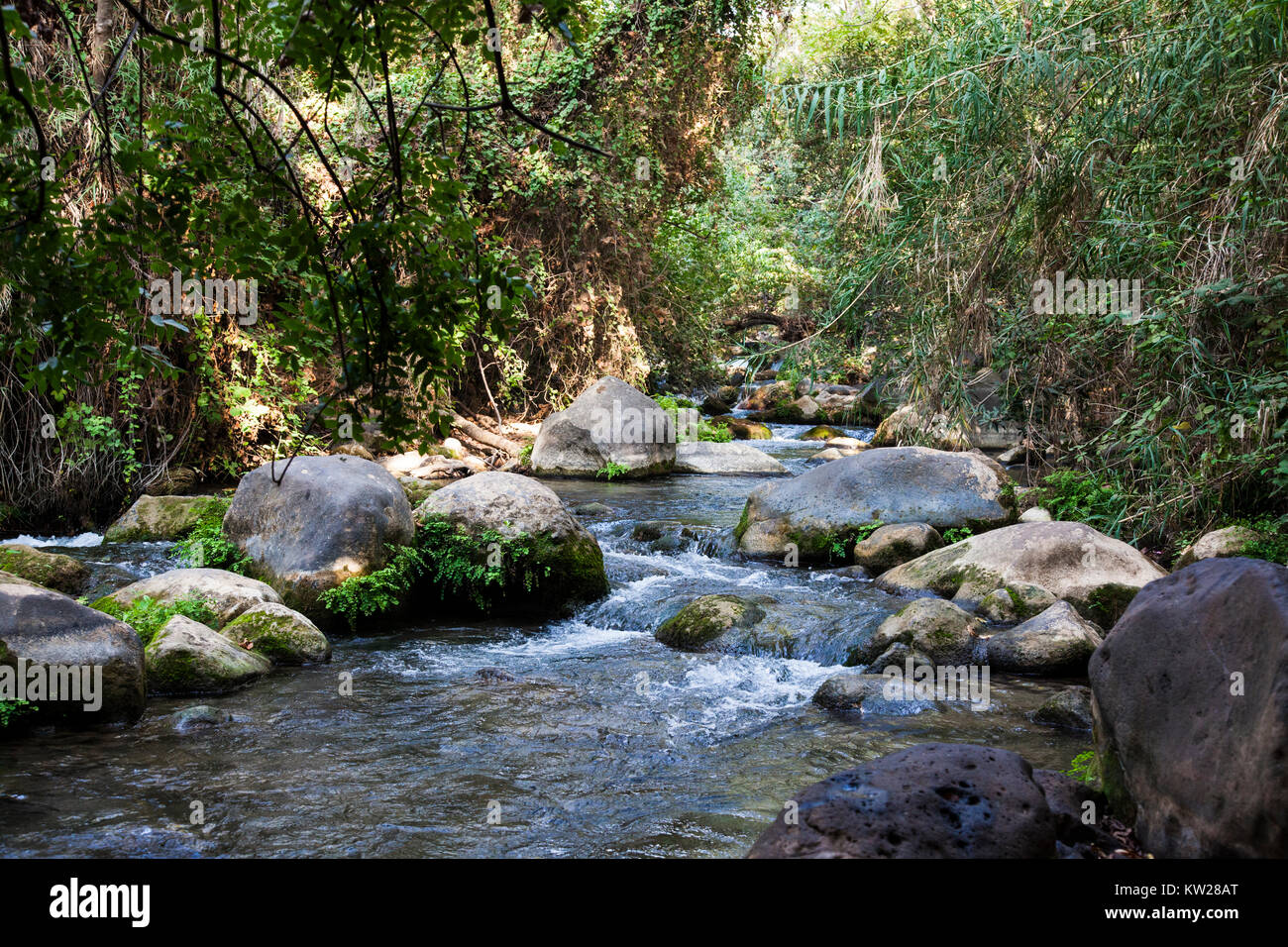 Banias River, Golan Heights, Israel Stock Photo - Alamy