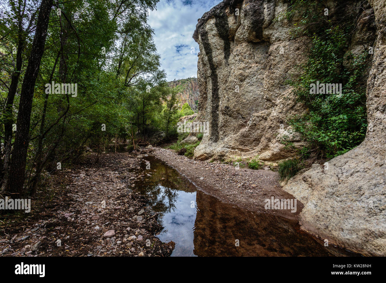 A subtle reflection is one of many interesting sights in this little ...
