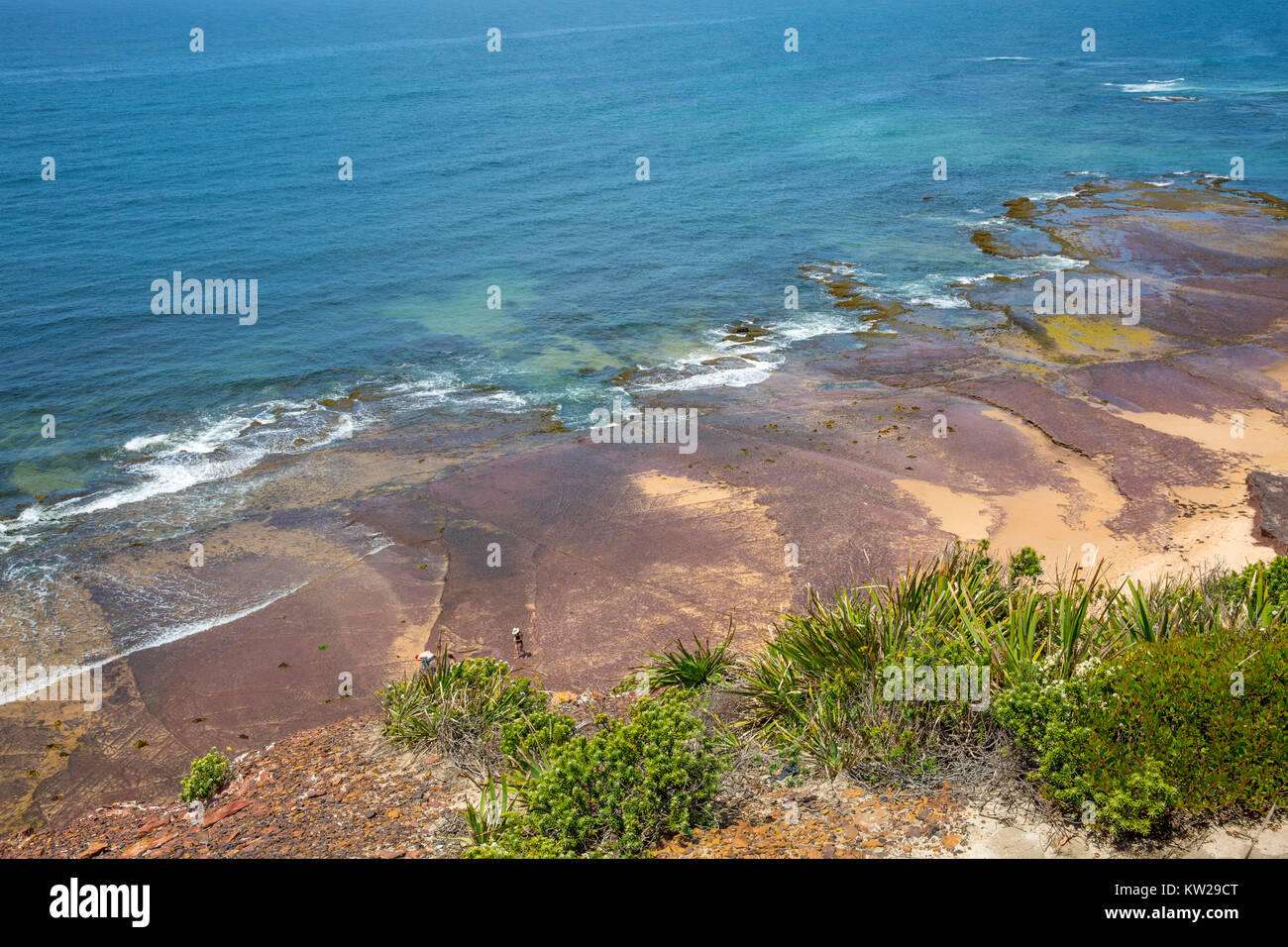 Long reef aquatic reserve hi-res stock photography and images - Alamy