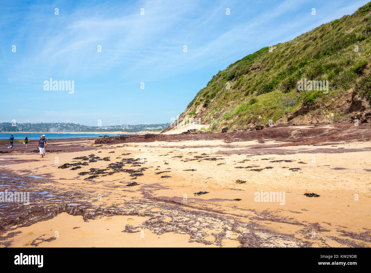 Long Reef point on long reef beach,Sydney northern beaches,Australia ...