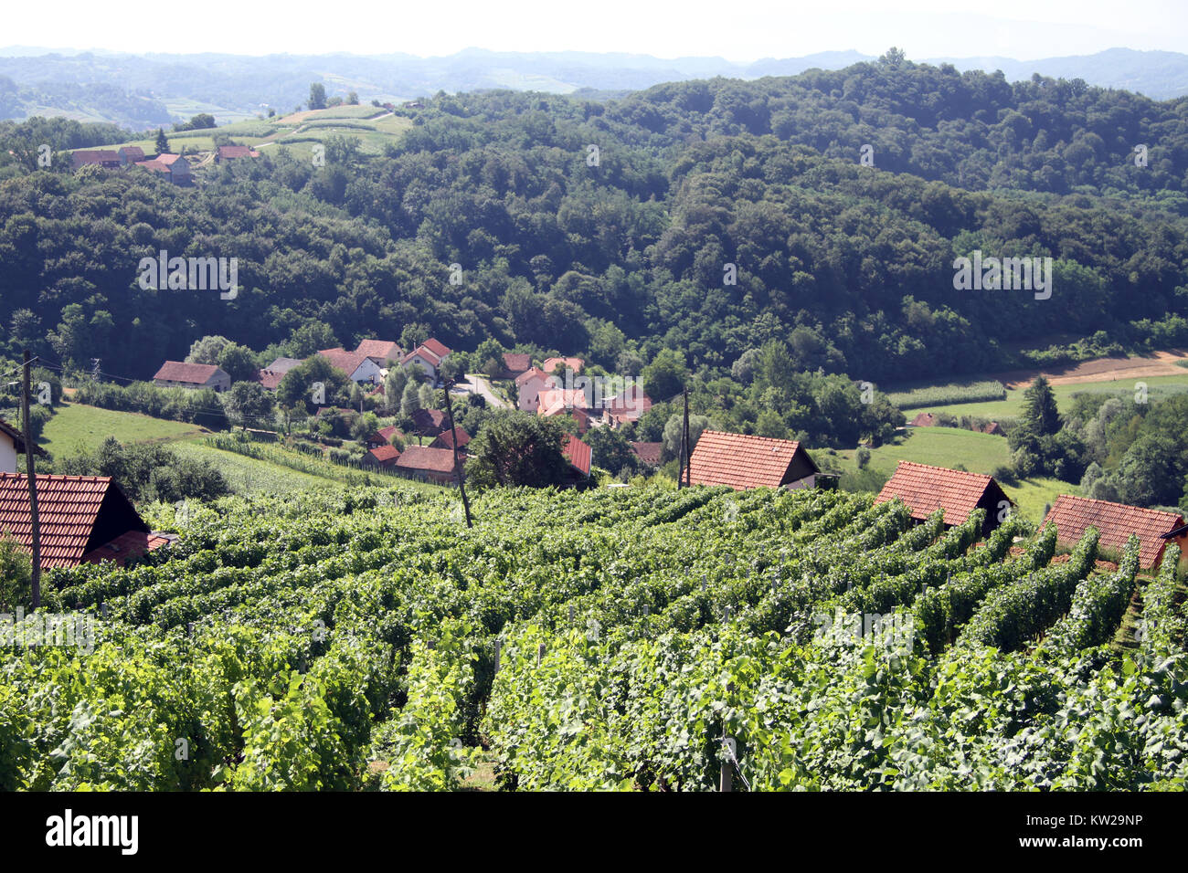 Vineyard and farm houses near Pregrada, Croatia Stock Photo - Alamy