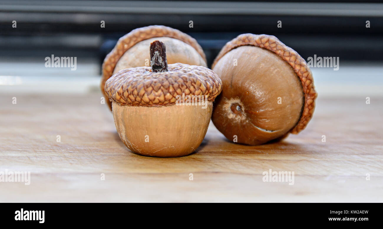 Acorns with shells standing on wood background, oak nuts, close up ...