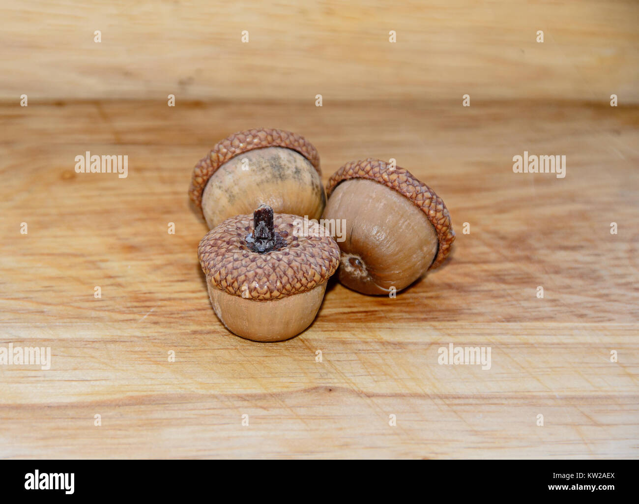 Acorns with shells standing on wood background, oak nuts, close up ...