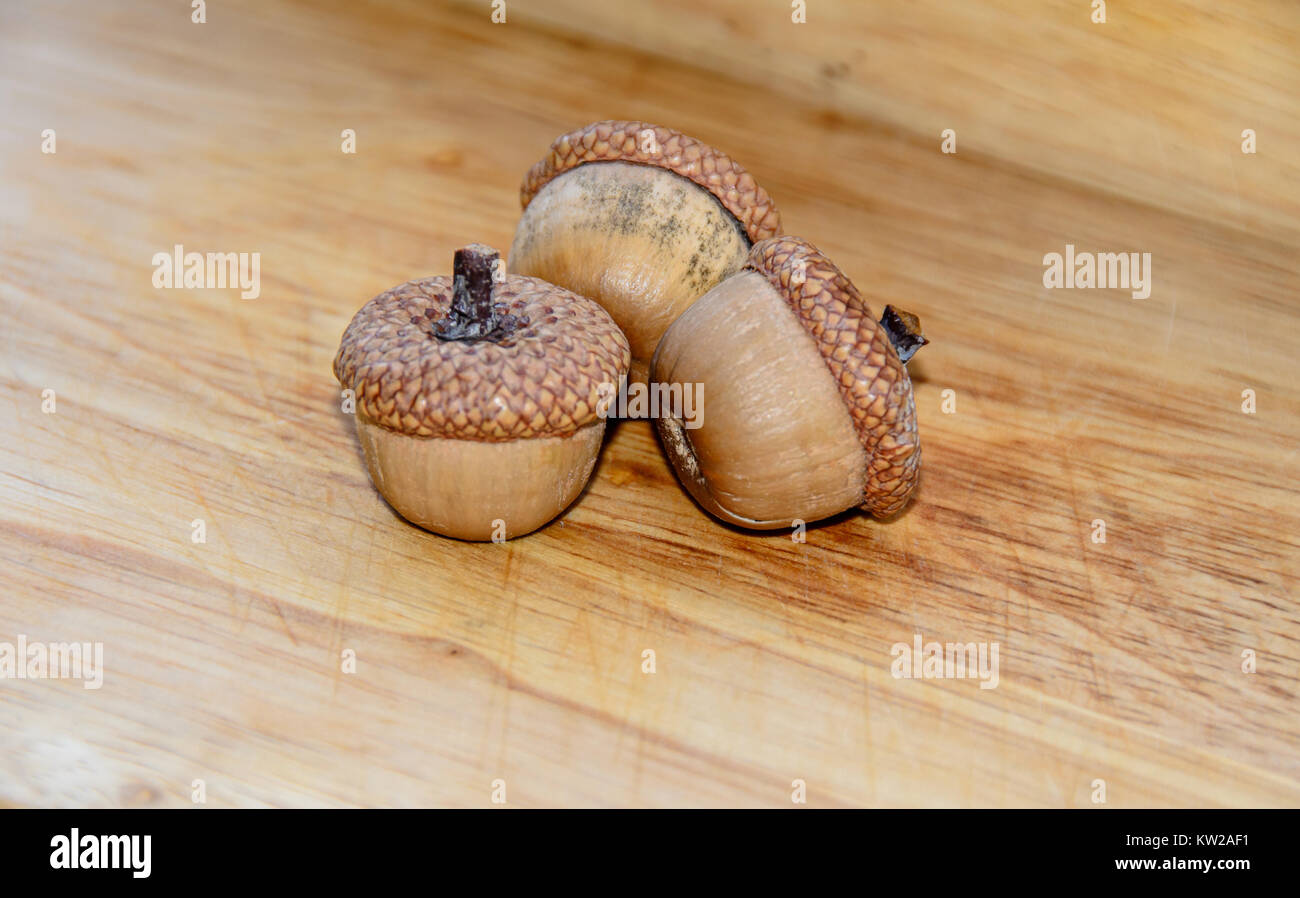 Acorns with shells standing on wood background, oak nuts, close up ...