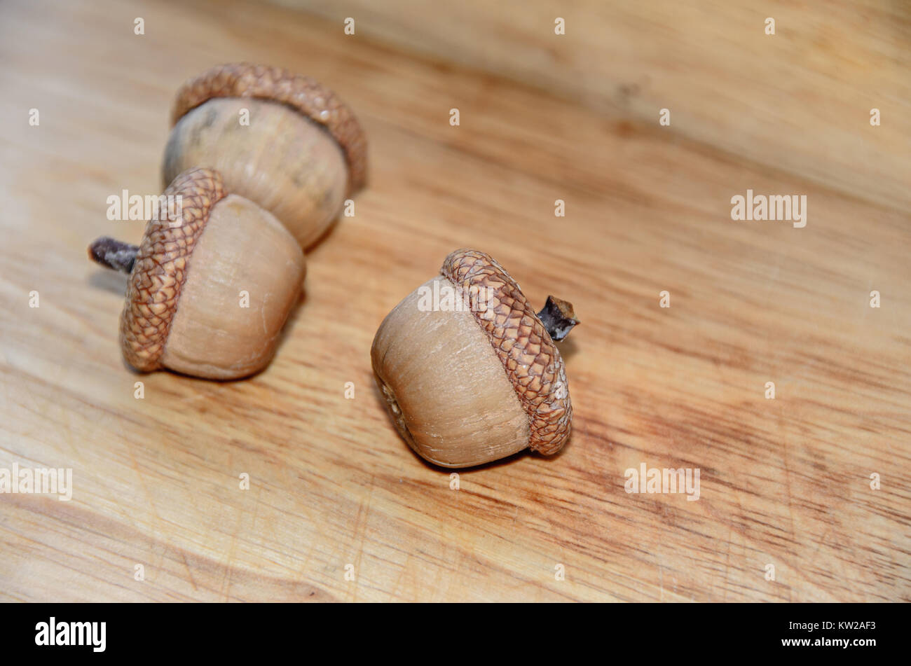 Acorns with shells standing on wood background, oak nuts, close up ...