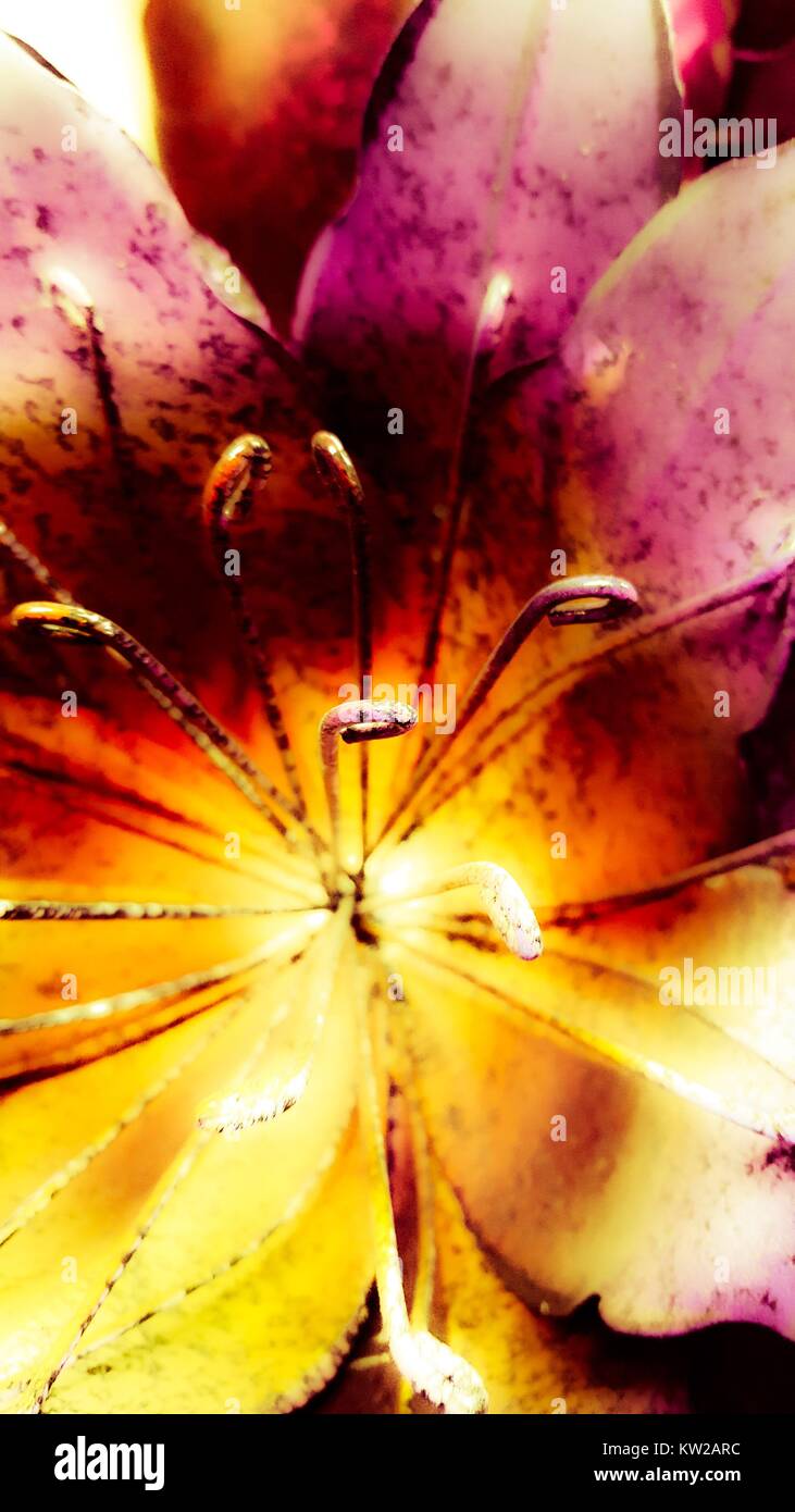 Digital art: abstracts Stock Photo - Alamy