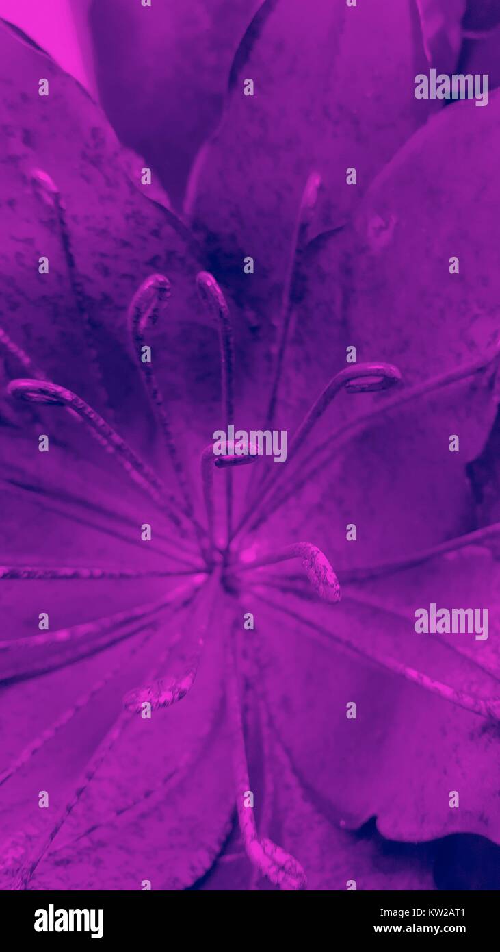 Digital art: abstracts Stock Photo - Alamy