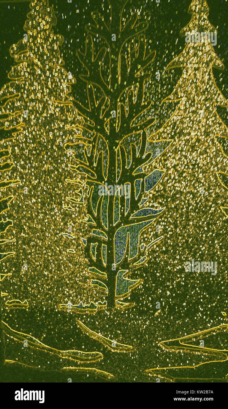 Digital art: tree motifs in forest Stock Photo - Alamy