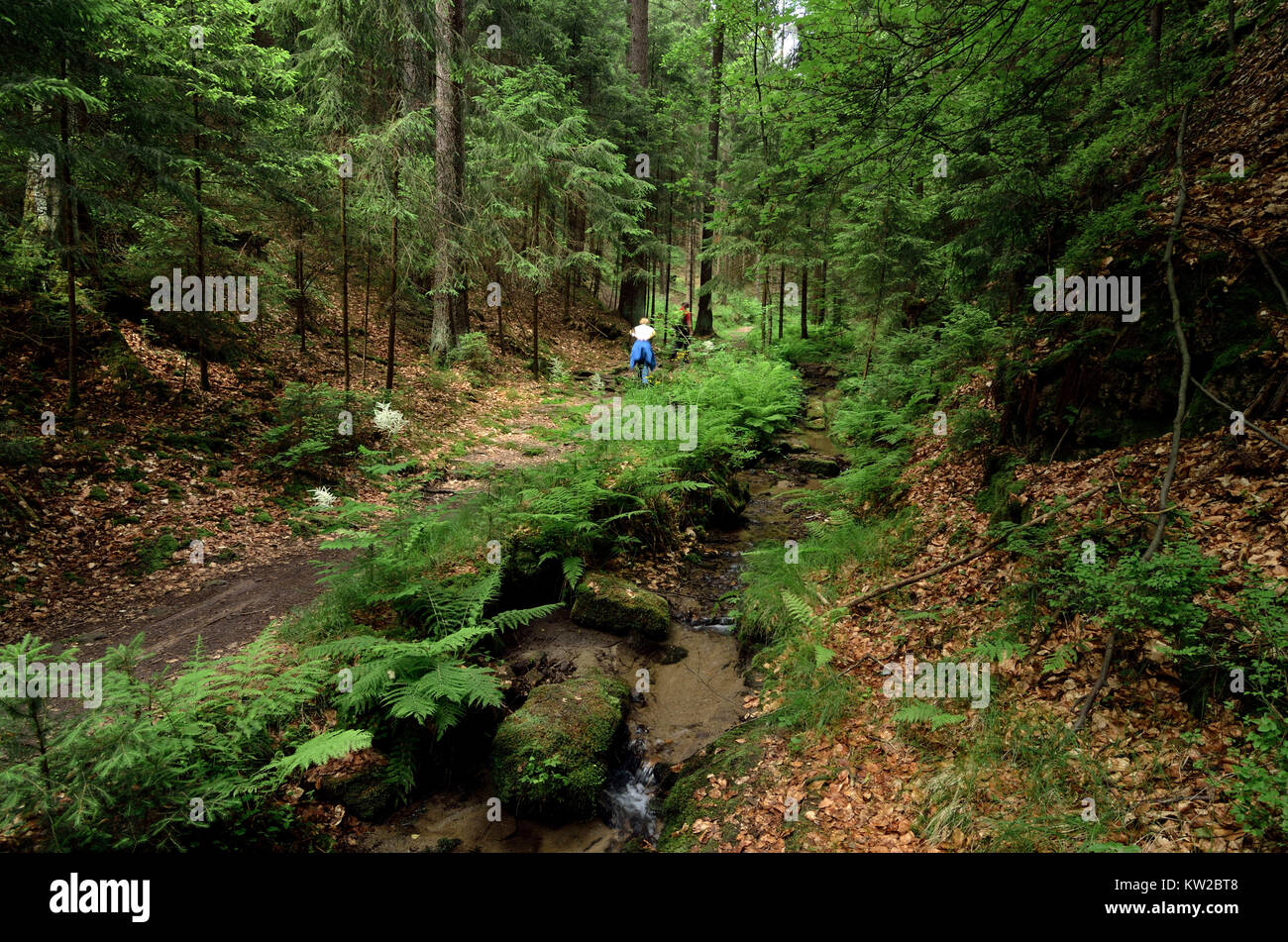 Malerweg hi-res stock photography and images - Alamy
