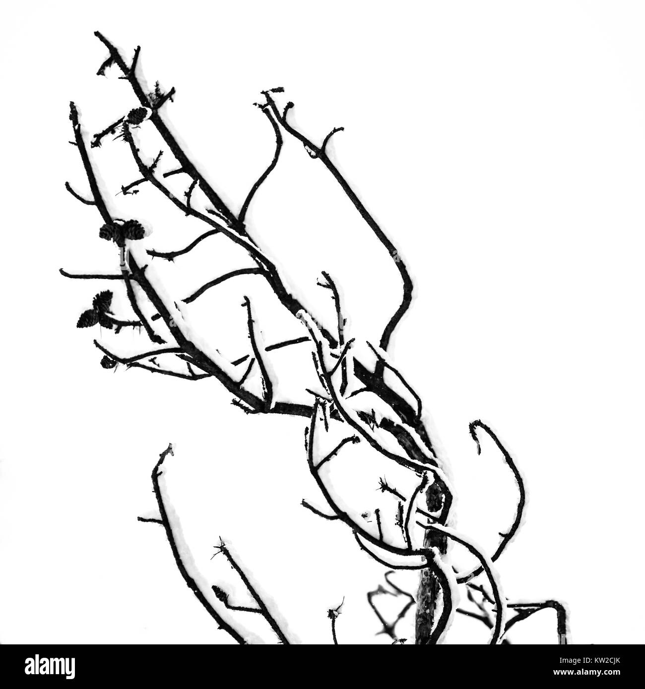 Ramas sky hi-res stock photography and images - Alamy