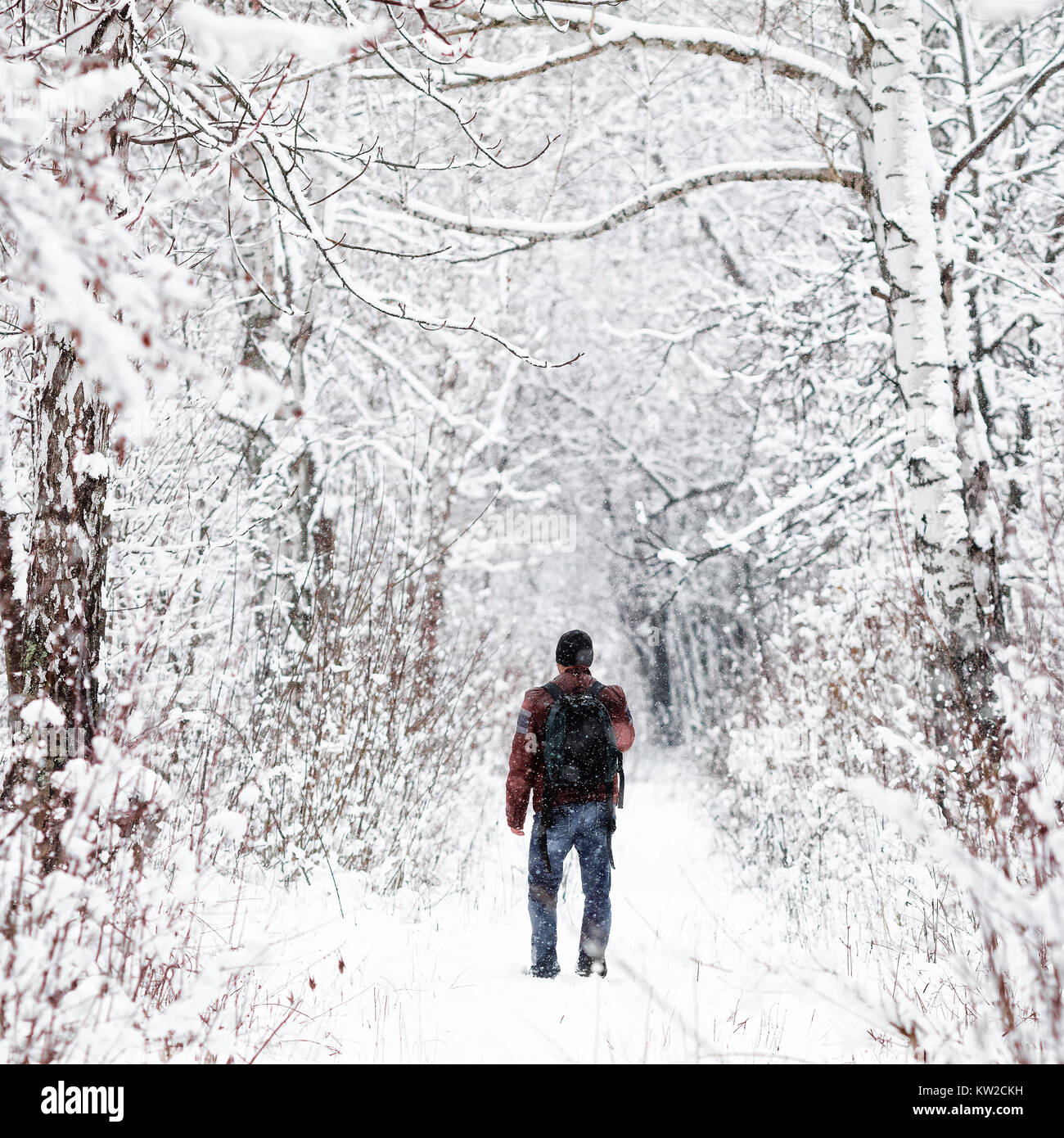 Showers forest hi-res stock photography and images - Alamy