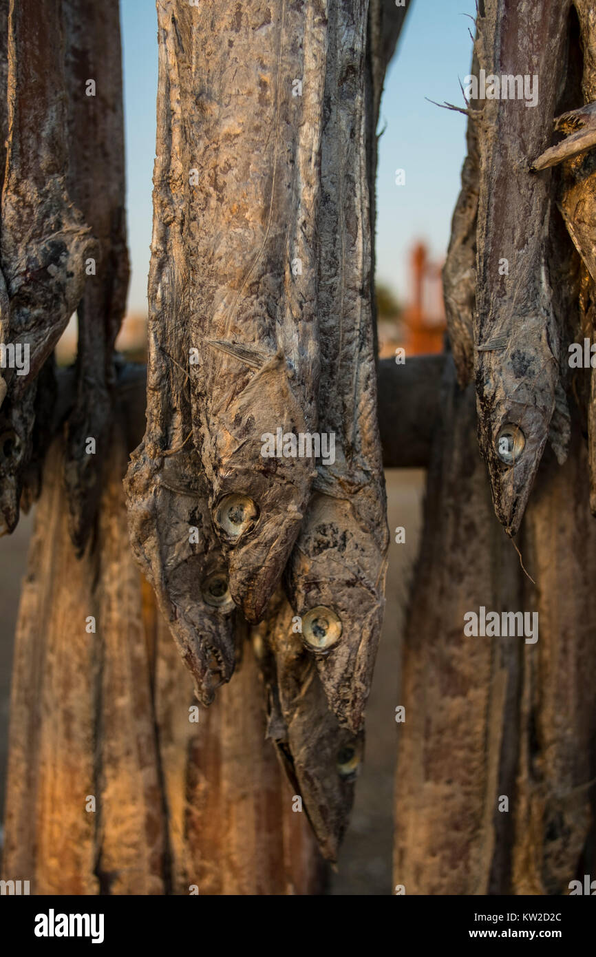 Preserving food methods hi-res stock photography and images - Alamy