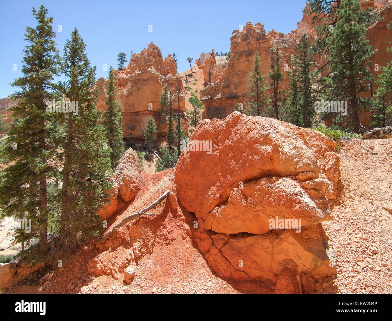 rocky scenery with trees at the Bryce Canyon National Park located in ...