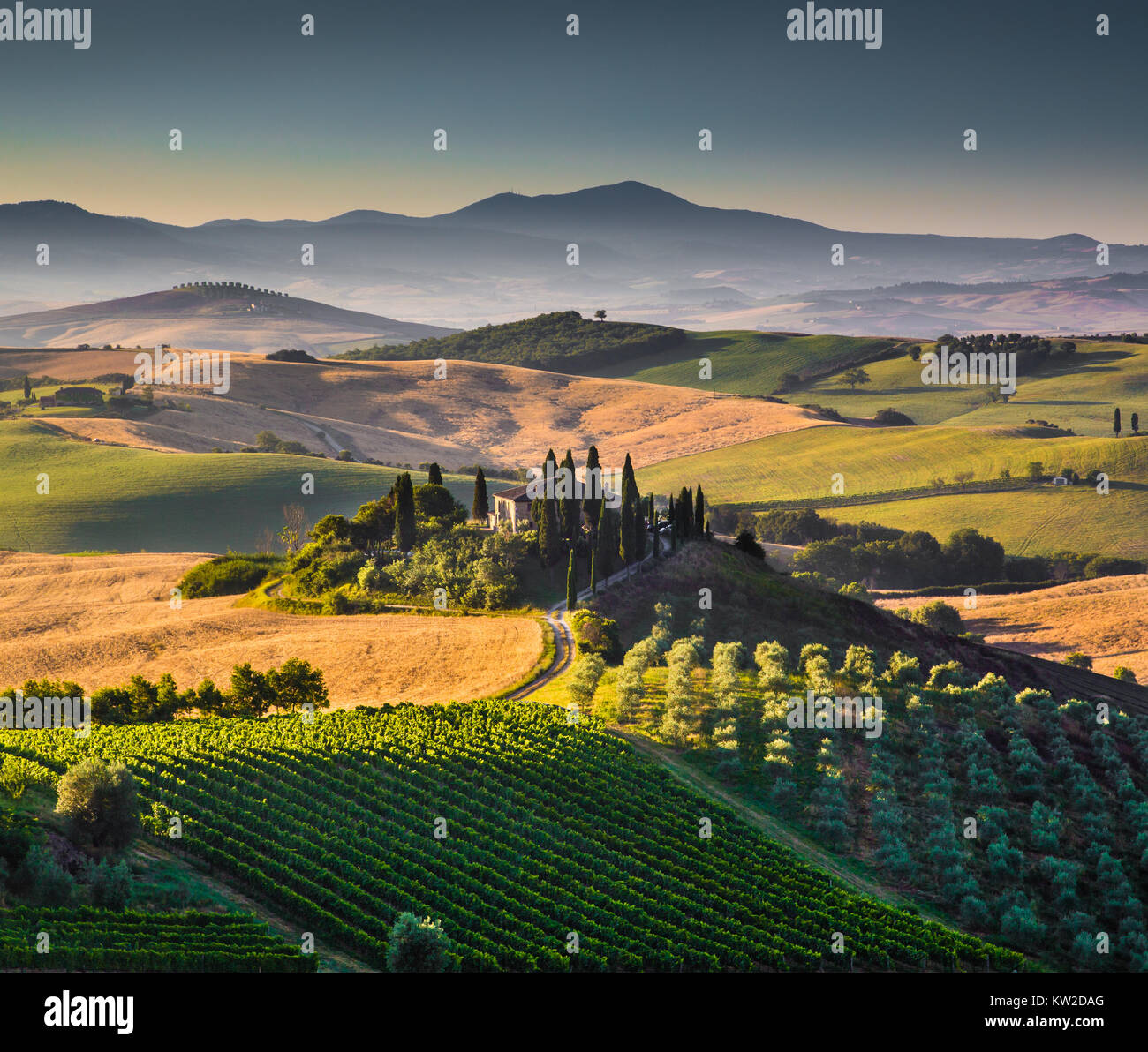 Scenic Tuscany landscape with rolling hills and valleys in golden ...