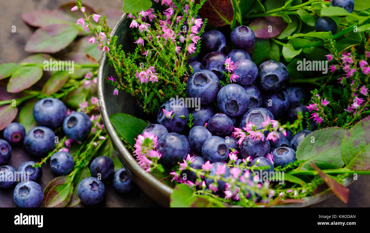 The life in lapland hi-res stock photography and images - Alamy