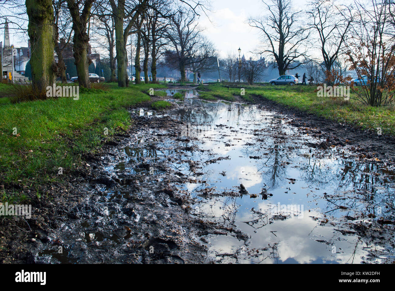 Landscape image of a lake/ large puddle in a park surrounded by green ...