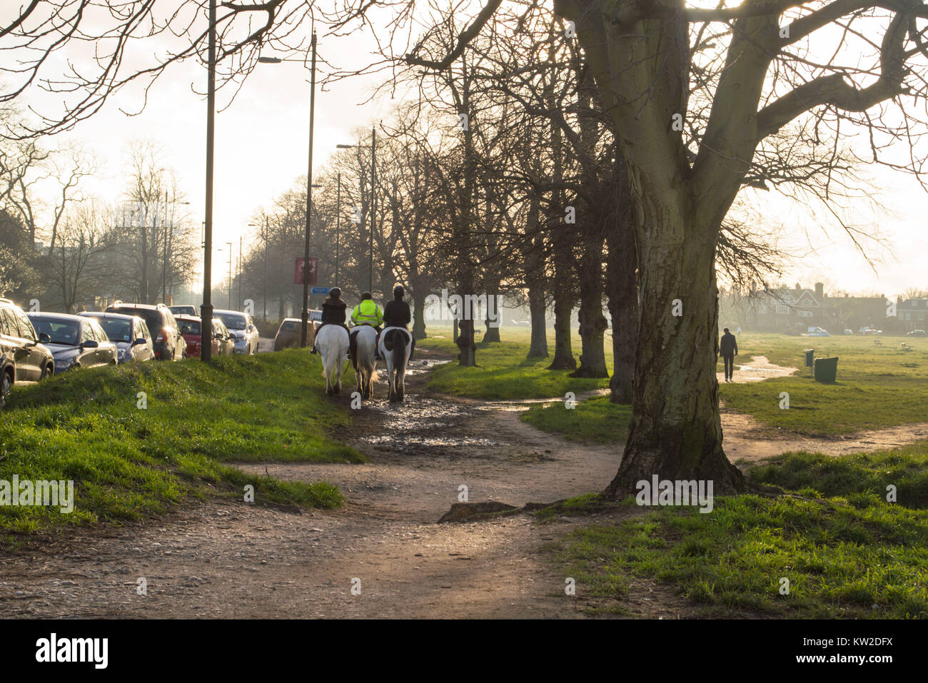 Landscape image of horse riders riding horses countryside pathway tall ...