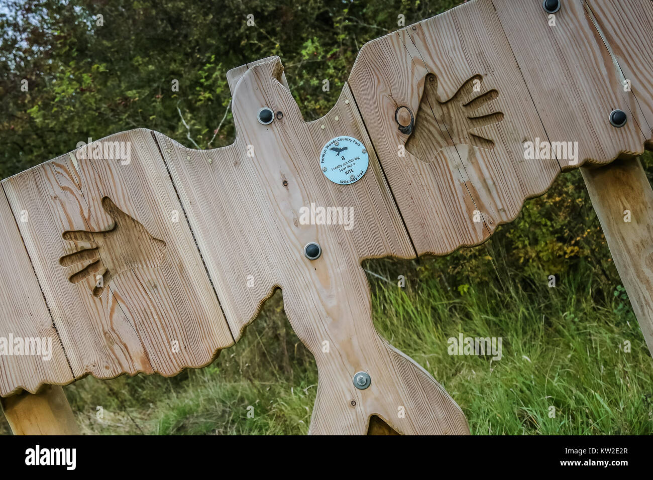 A wooden sculpture showing the actual size of a Red Kite bird Stock ...