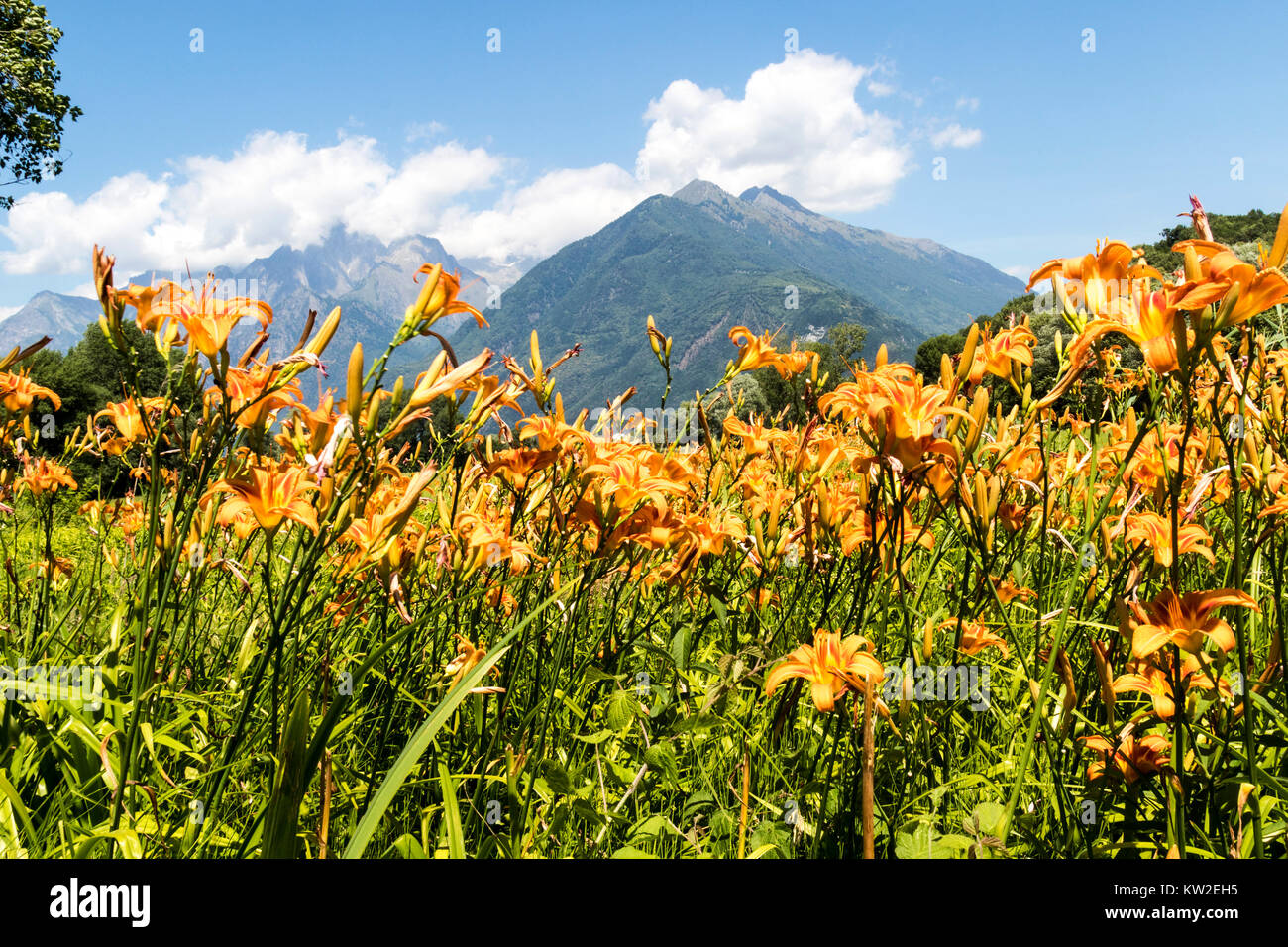colico, valtellina pathway near lake of Como, Italy Stock Photo - Alamy