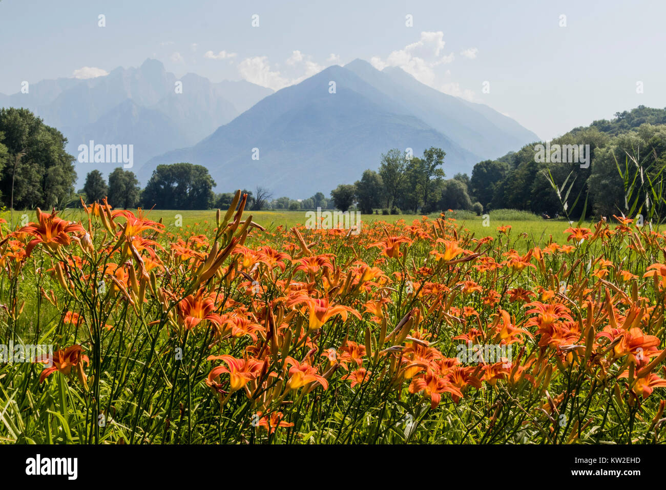 colico, valtellina pathway near lake of Como, Italy Stock Photo - Alamy