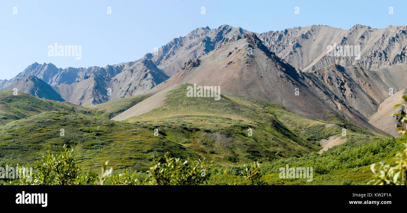 View of a mountain range in Denali National Park, Alaska on a bright ...