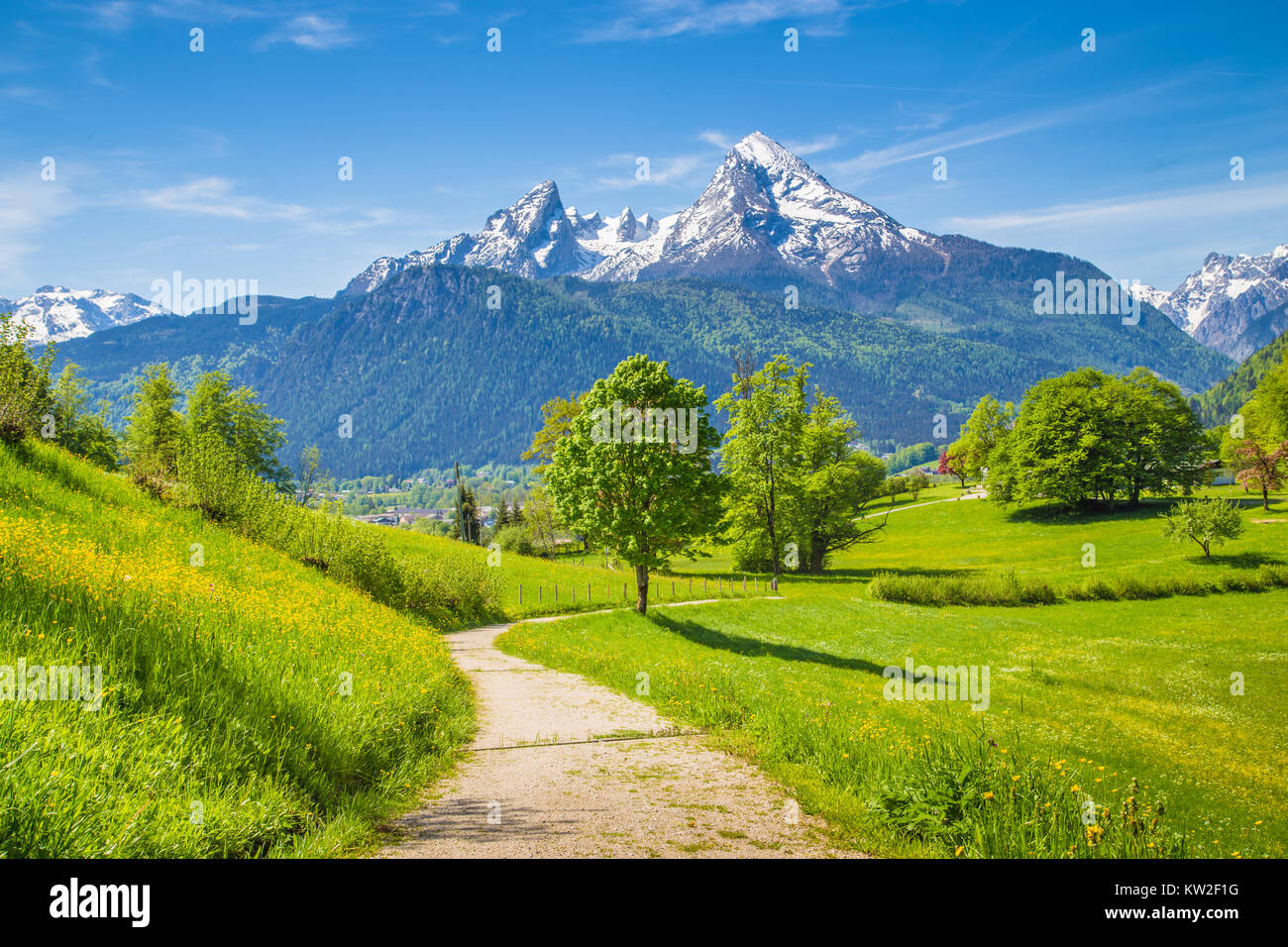 Idyllic landscape with hiking trail in the Alps with fresh green ...