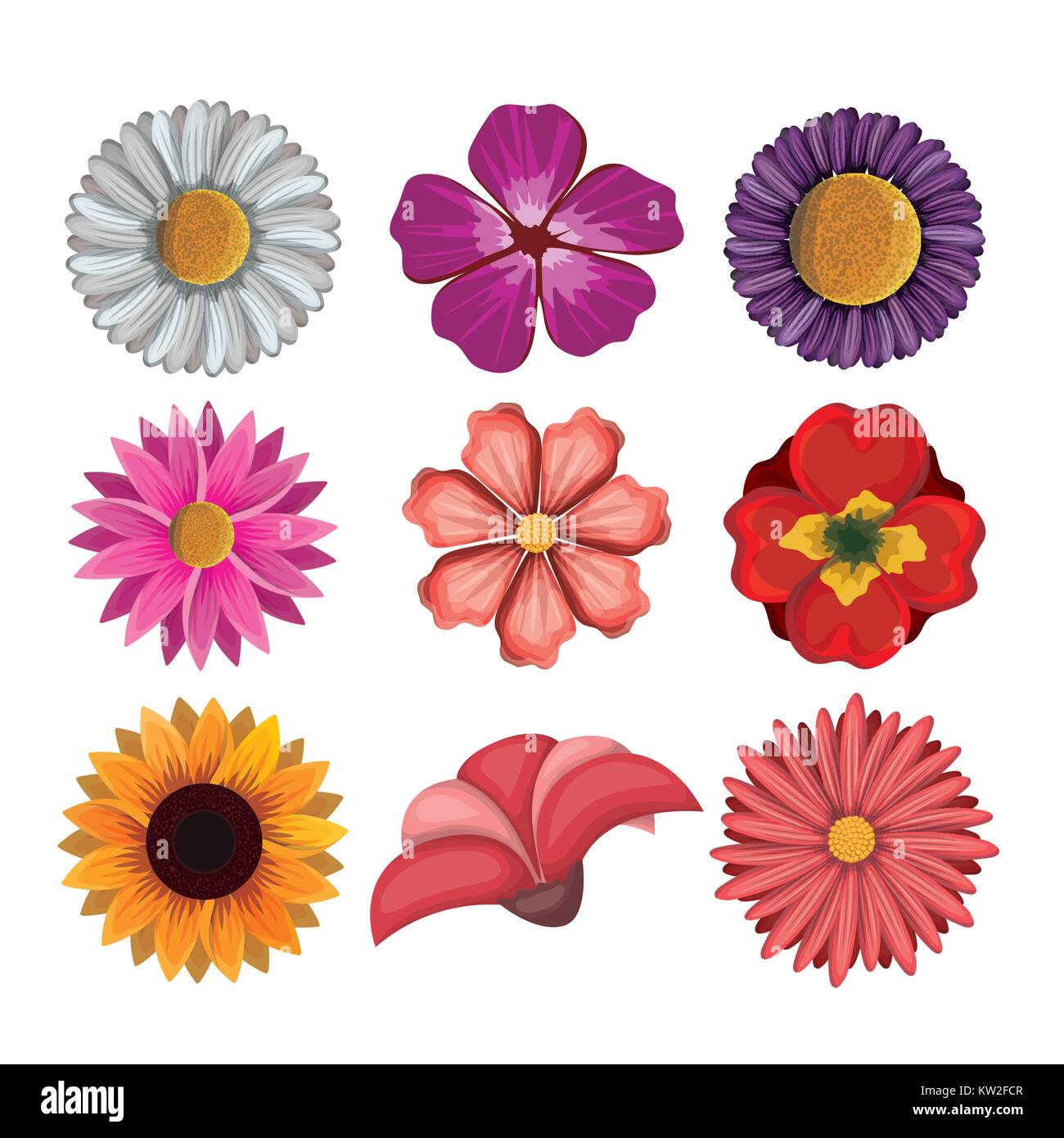 Colorful water lily flowers Stock Vector Images - Alamy