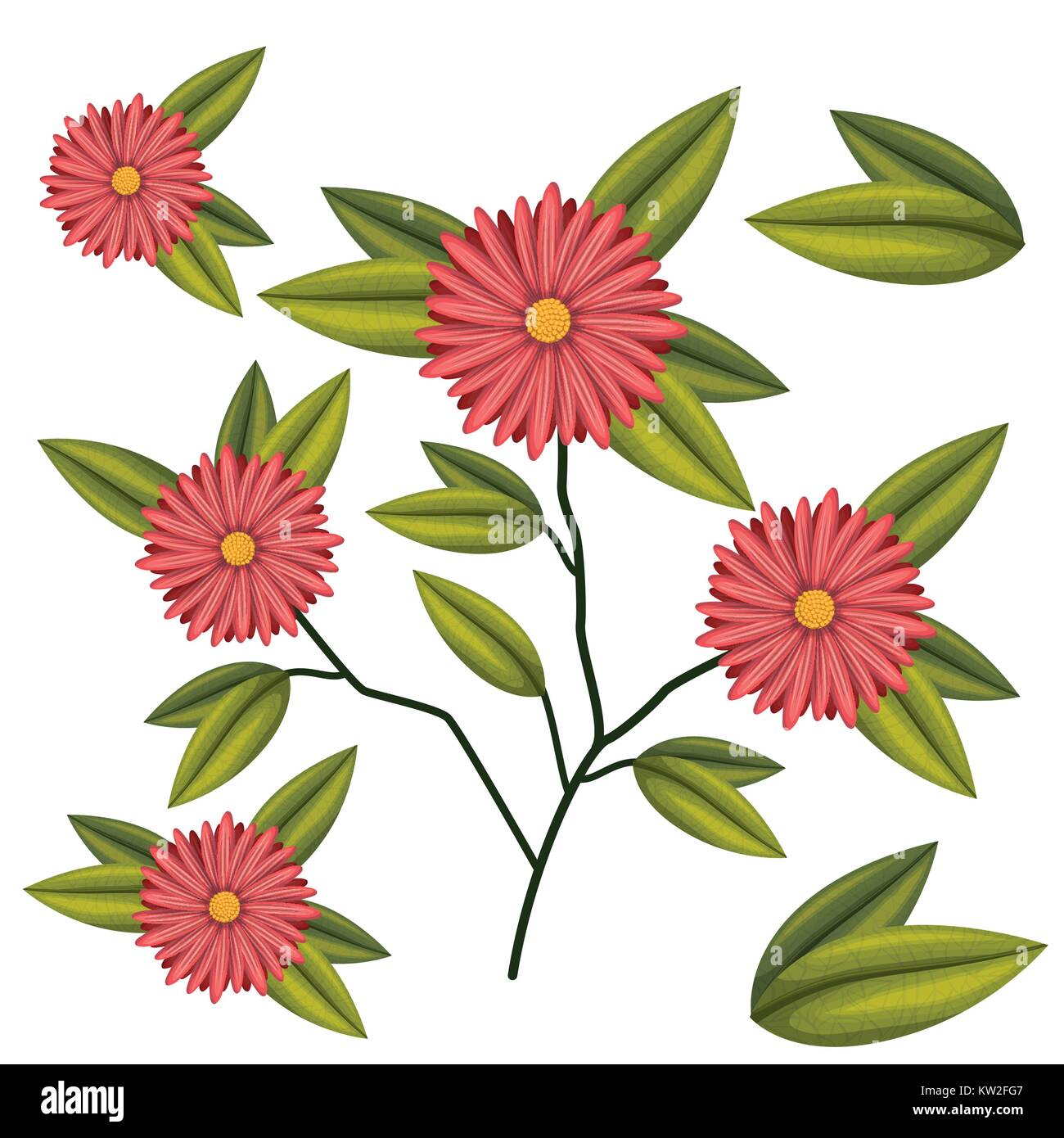 Garden marigold flowers Stock Vector Images - Alamy