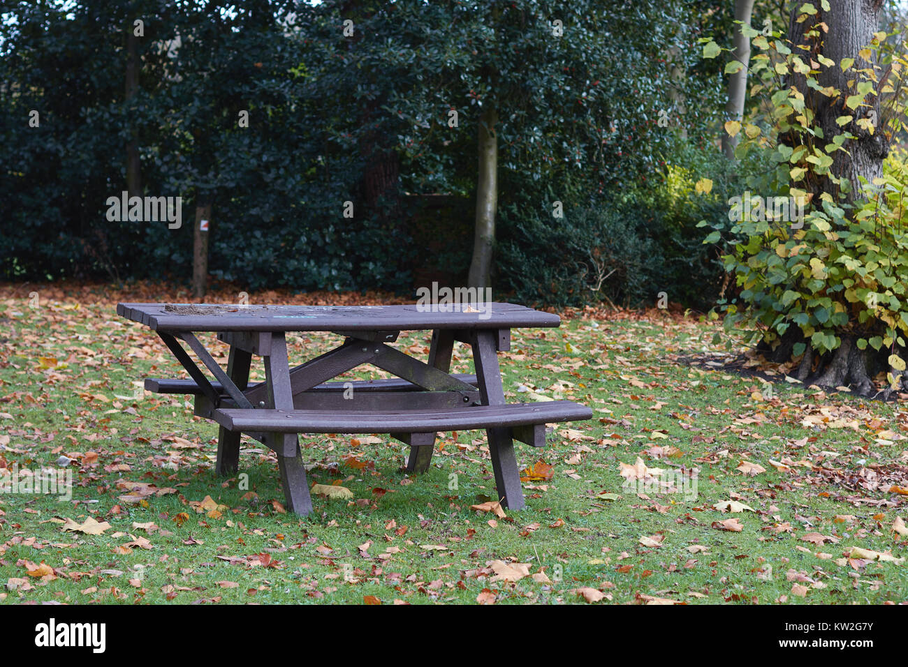 Picnic table in the park Stock Photo - Alamy