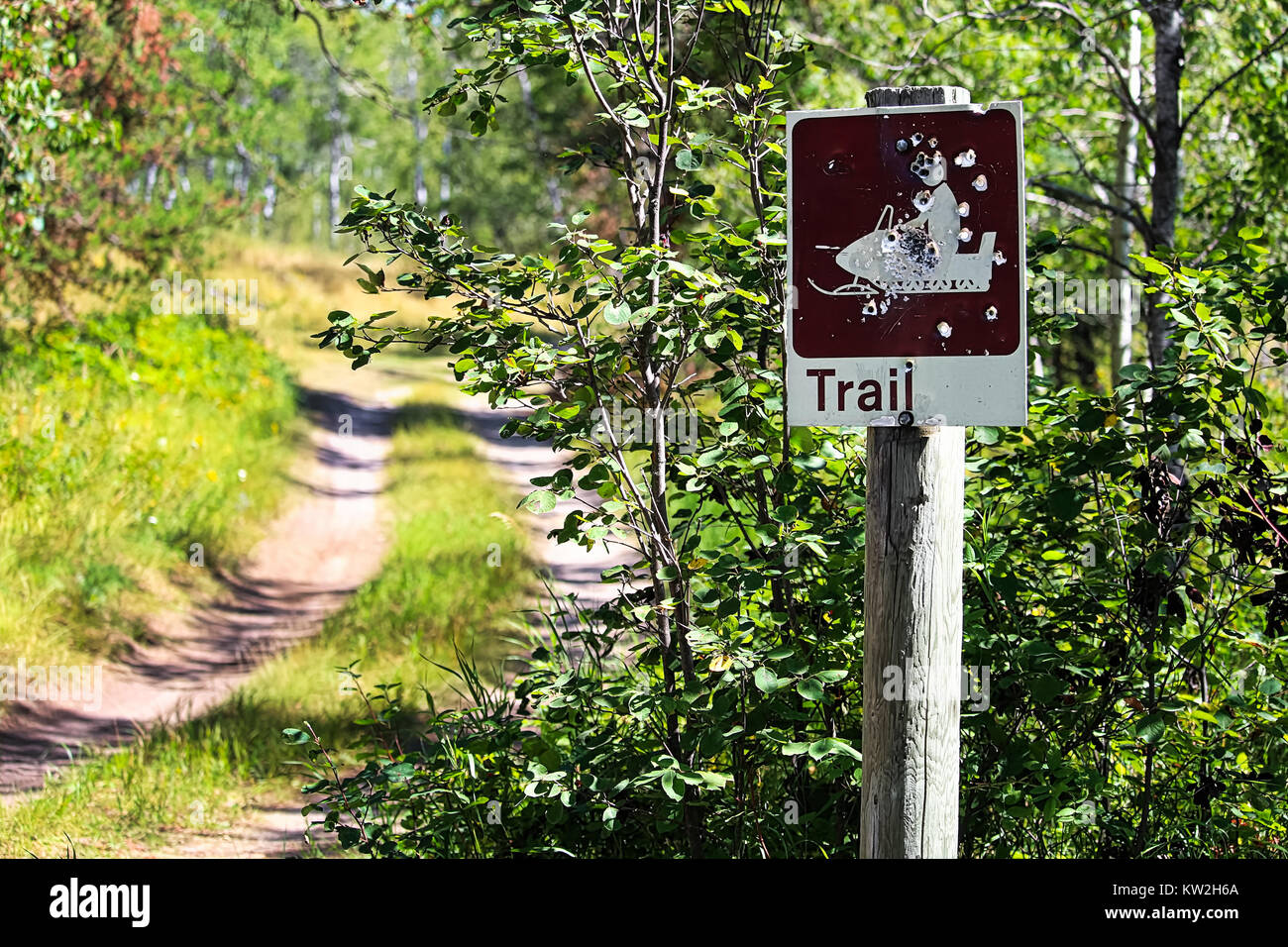 A shot up trail sign with a road in the distance Stock Photo - Alamy