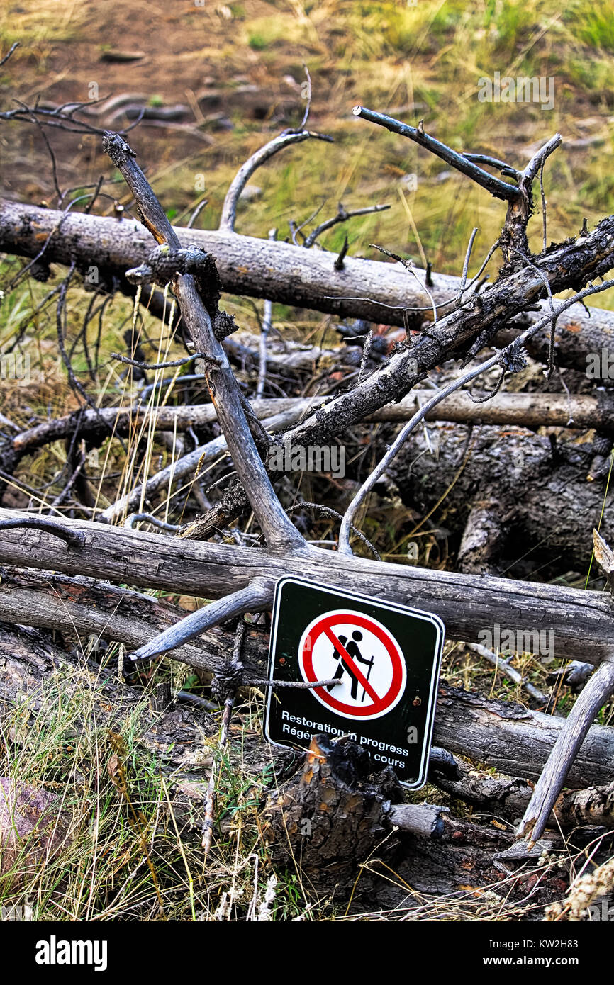 Restoration in progress signs on temporarily closed trails Stock Photo ...