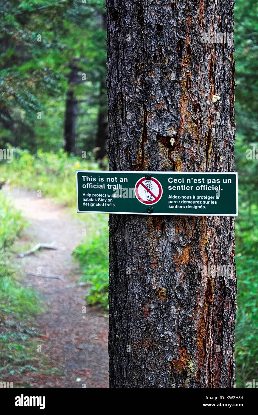 This is not an official trail sign in the forest Stock Photo - Alamy