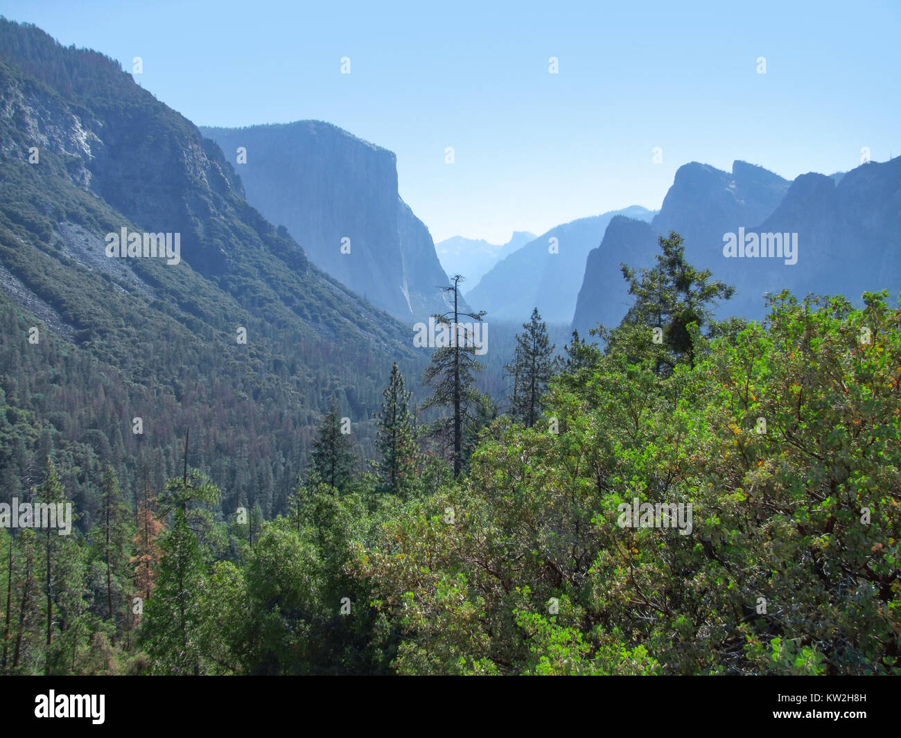idyllic panoramic view at the Yosemite National Park in California, USA ...